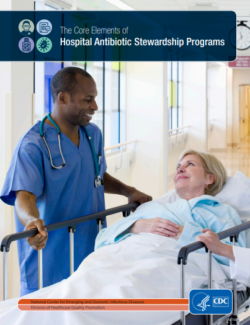 Core Elements of Hospital Antibiotic Stewardship Programs ...